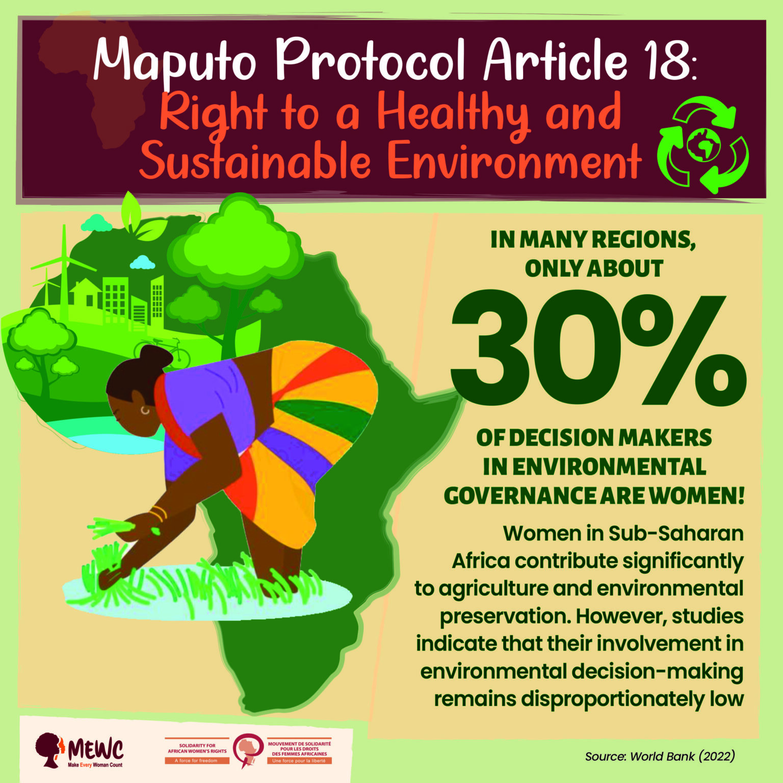 Maputo Protocol Unpacked: A Toolkit for Young Change-makers – SOAWR