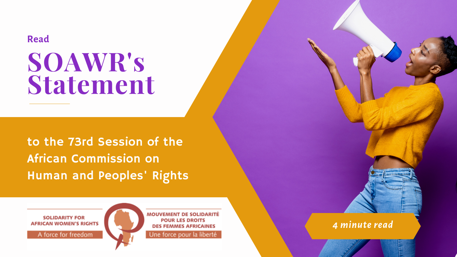 SOAWR Statement to the 73rd Ordinary Session of the African Commission on Human and Peoples ...